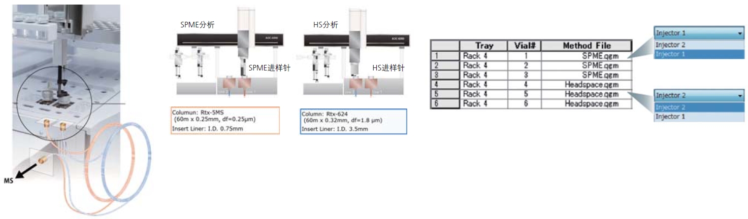 Twin Line MS - 应用 : Shimadzu SSL